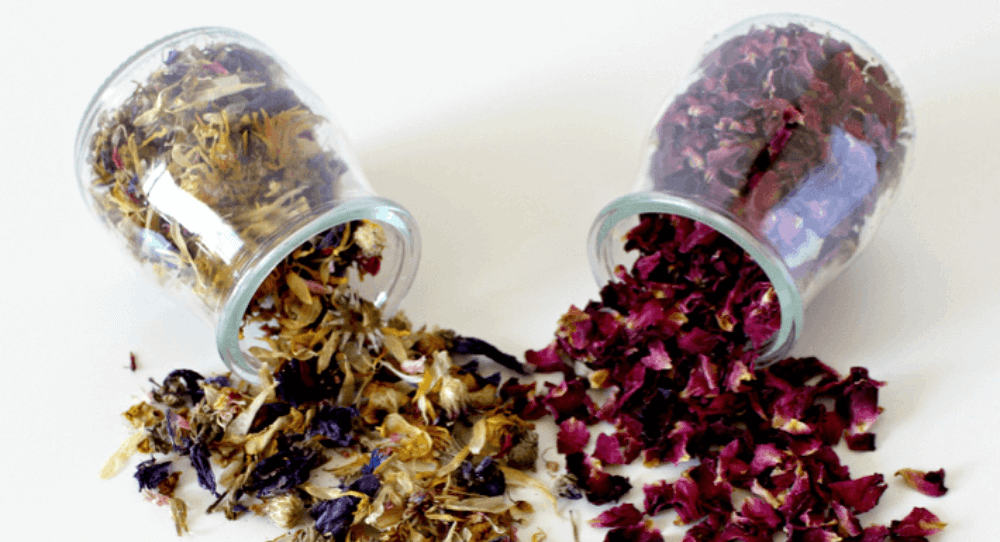 What is Naturopathy? - LiveWell Health and Physiotherapy
